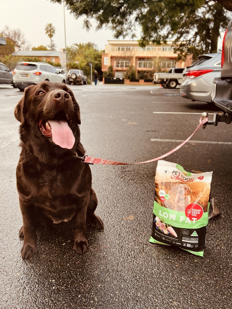 Pet Food Australia - MyWork